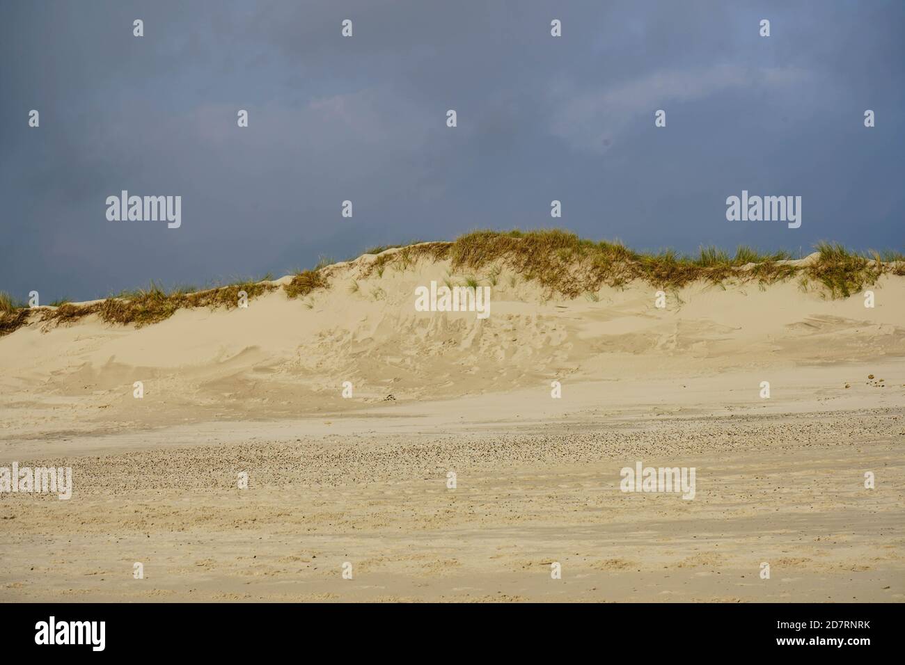 at the beach of Blavand (Traslation: danish for blue water) in Denmark ...