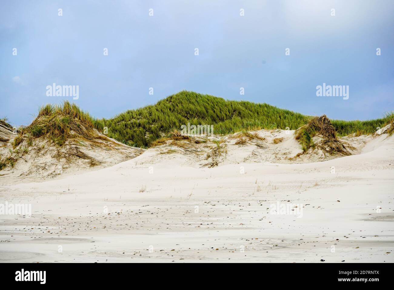 at the beach of Blavand (Traslation: danish for blue water) in Denmark ...