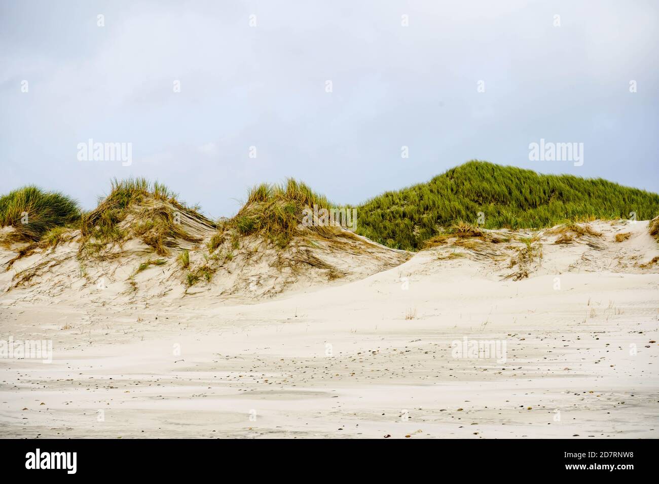 at the beach of Blavand (Traslation: danish for blue water) in Denmark ...