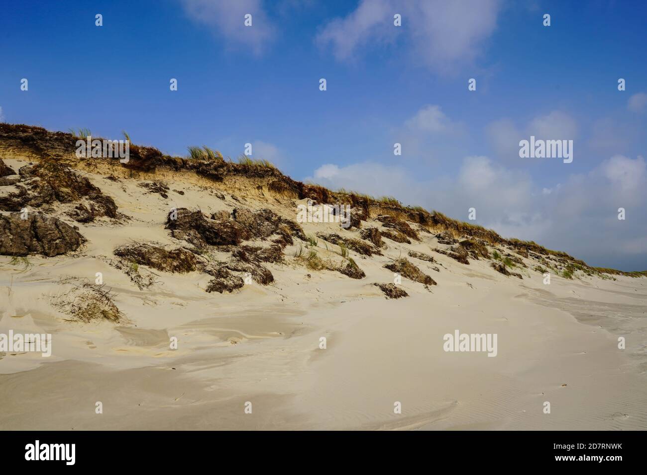 at the beach of Blavand (Traslation: danish for blue water) in Denmark ...