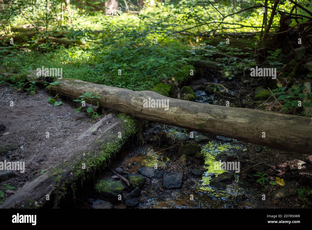 Log footbridge hi-res stock photography and images - Alamy