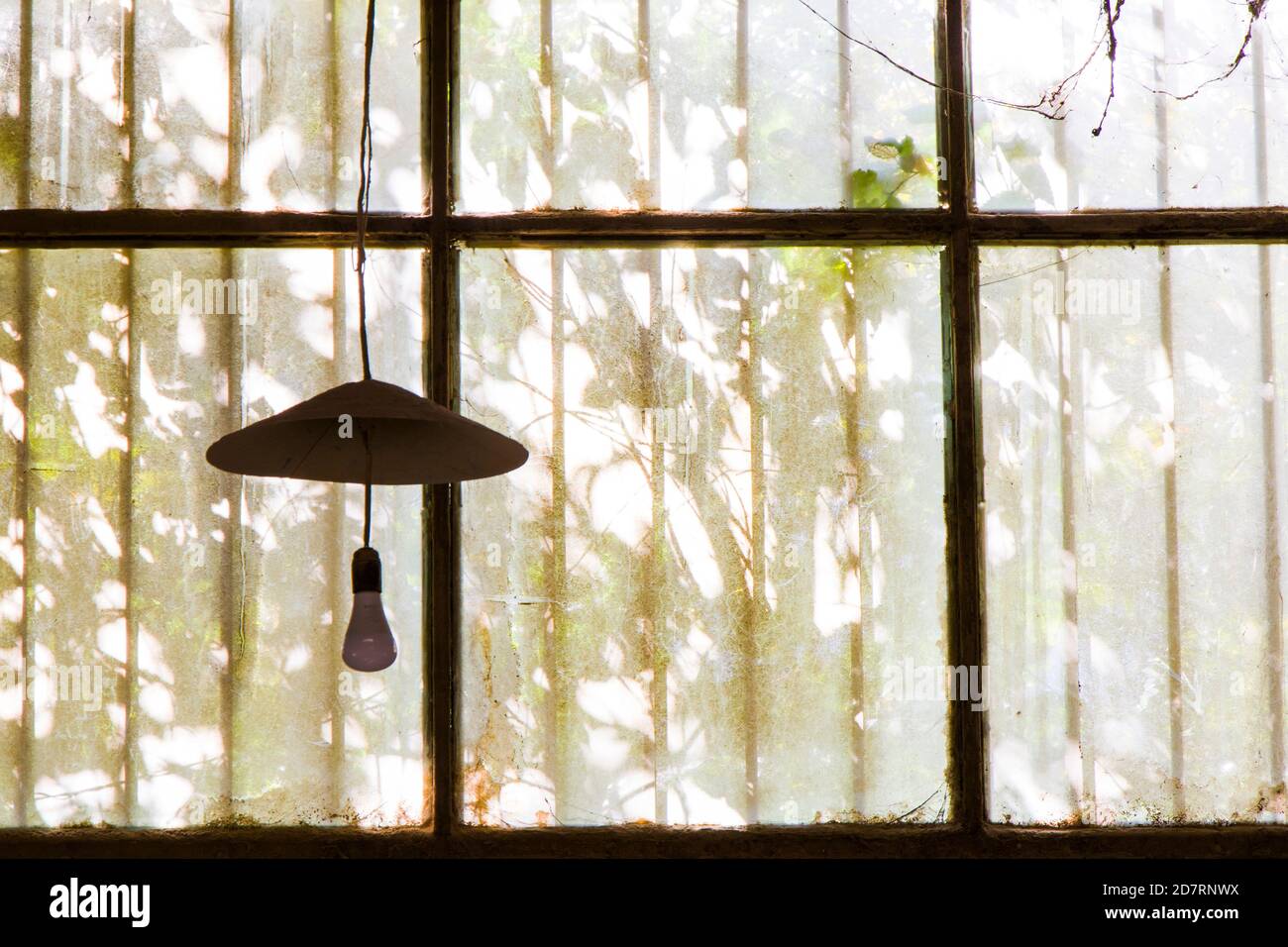 Old light bulb factory hi-res stock photography and images - Alamy