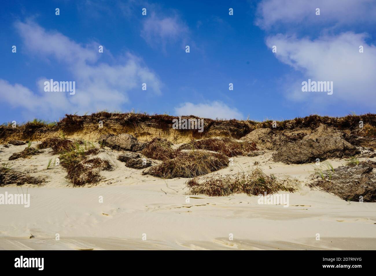 at the beach of Blavand (Traslation: danish for blue water) in Denmark ...
