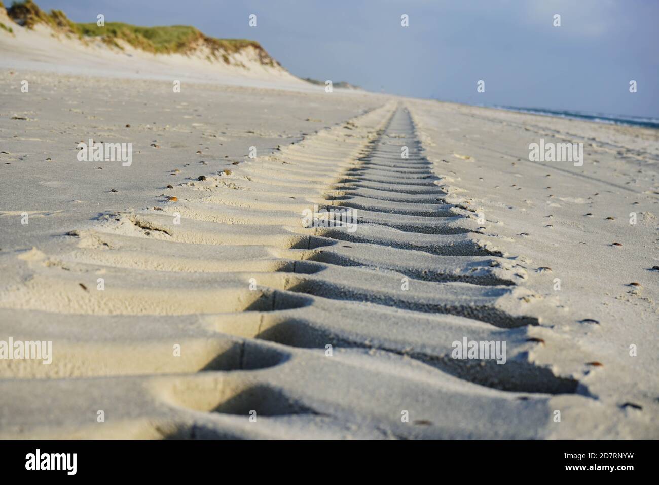 at the beach of Blavand (Traslation: danish for blue water) in Denmark ...