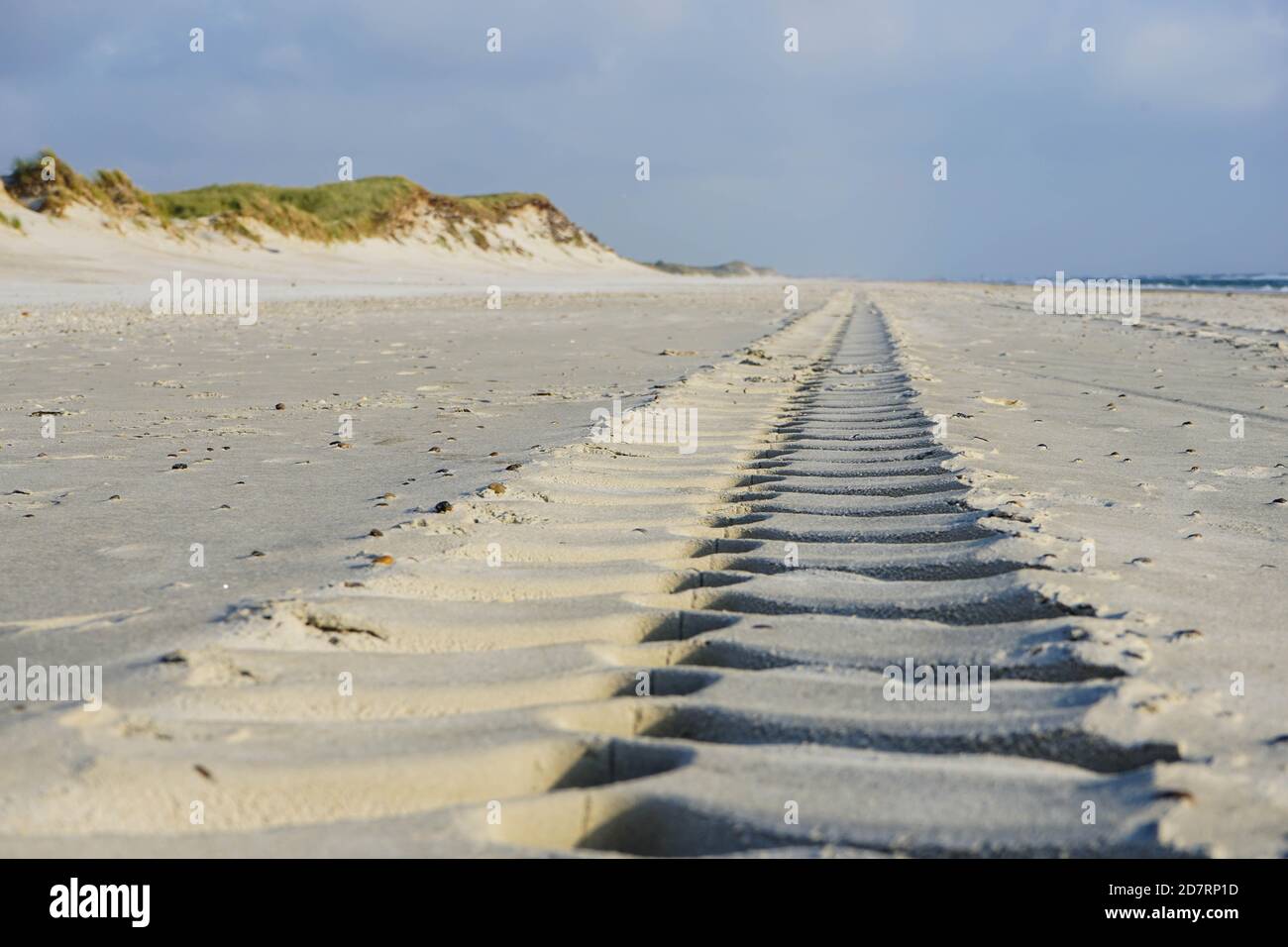 at the beach of Blavand (Traslation: danish for blue water) in Denmark ...