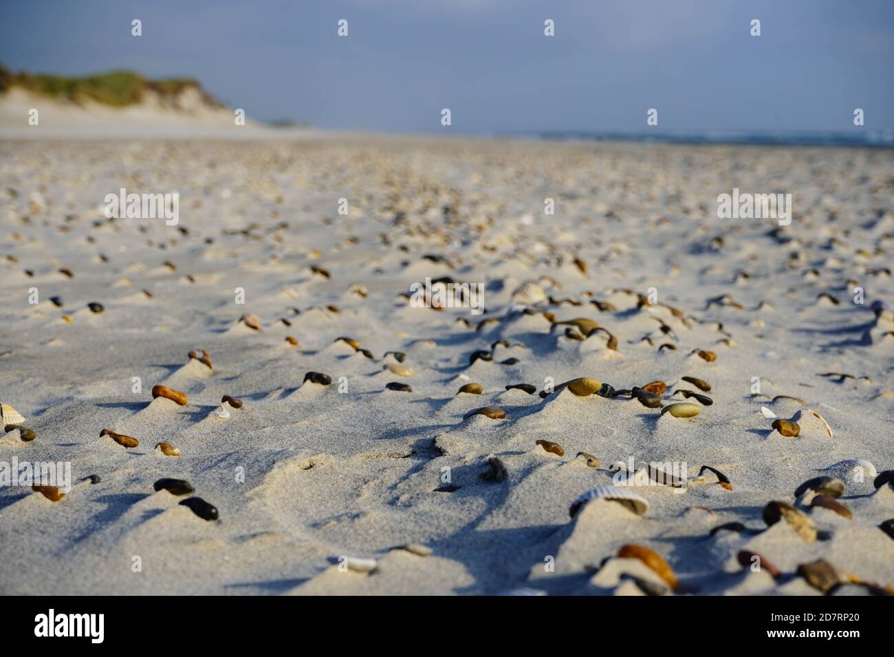 at the beach of Blavand (Traslation: danish for blue water) in Denmark ...