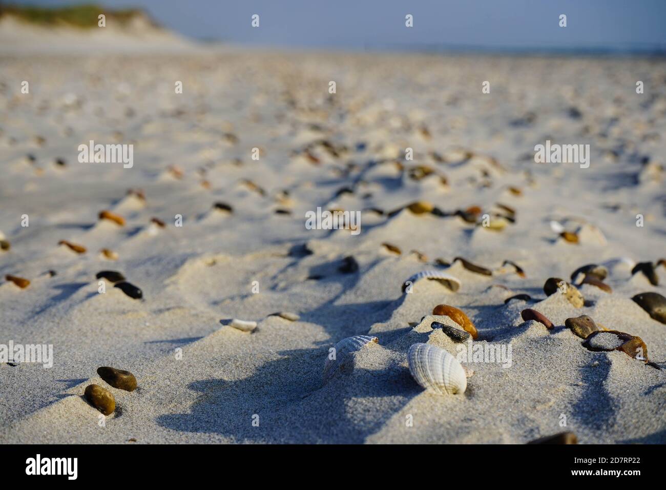 at the beach of Blavand (Traslation: danish for blue water) in Denmark ...