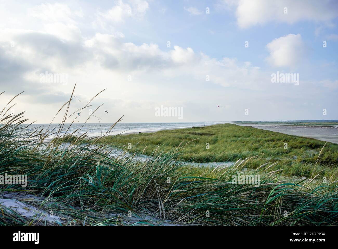 at the beach of Blavand (Traslation: danish for blue water) in Denmark ...