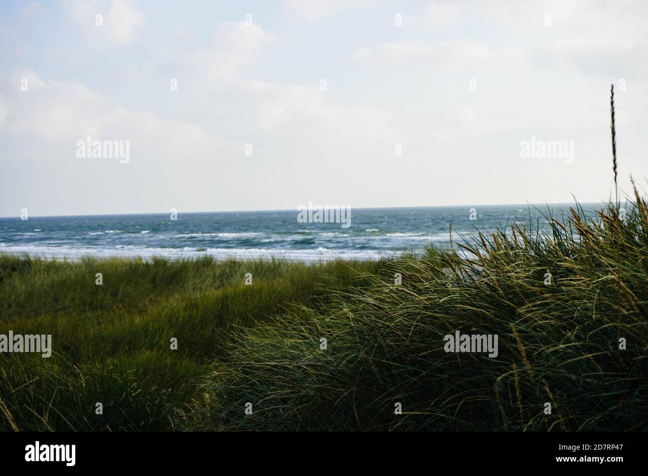 at the beach of Blavand (Traslation: danish for blue water) in Denmark ...
