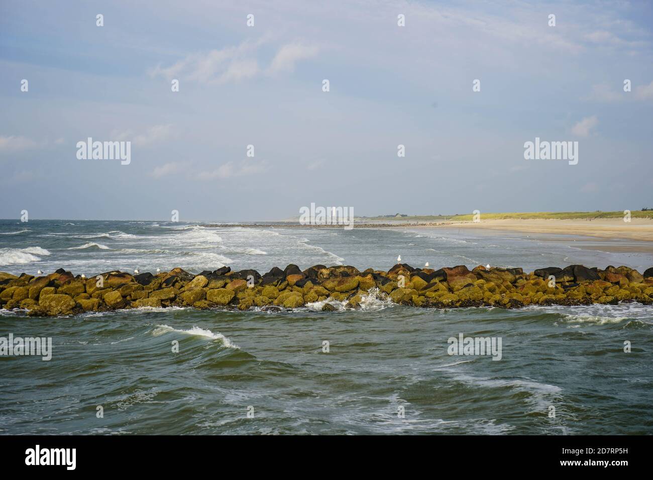 at the beach of Blavand (Traslation: danish for blue water) in Denmark ...