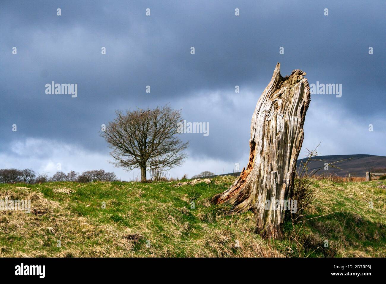 Ribble valley landscape hi-res stock photography and images - Alamy