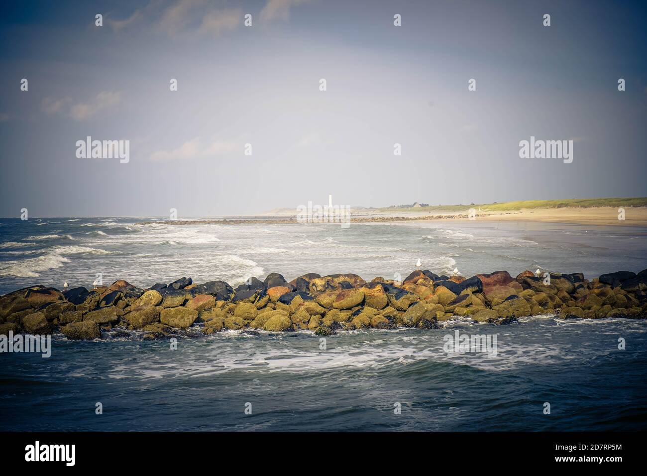at the beach of Blavand (Traslation: danish for blue water) in Denmark ...
