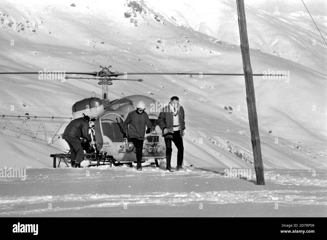 Marella caracciolo di castagneto hi-res stock photography and images ...