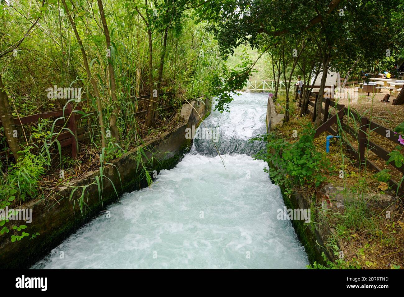 Israel, Upper Galilee, Dan river [a tributary of the Jordan River] in ...