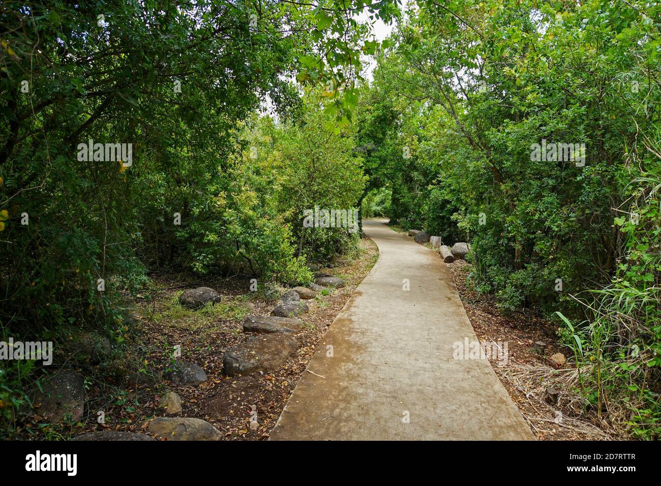 Tel dan nature reserve israel hi-res stock photography and images - Alamy