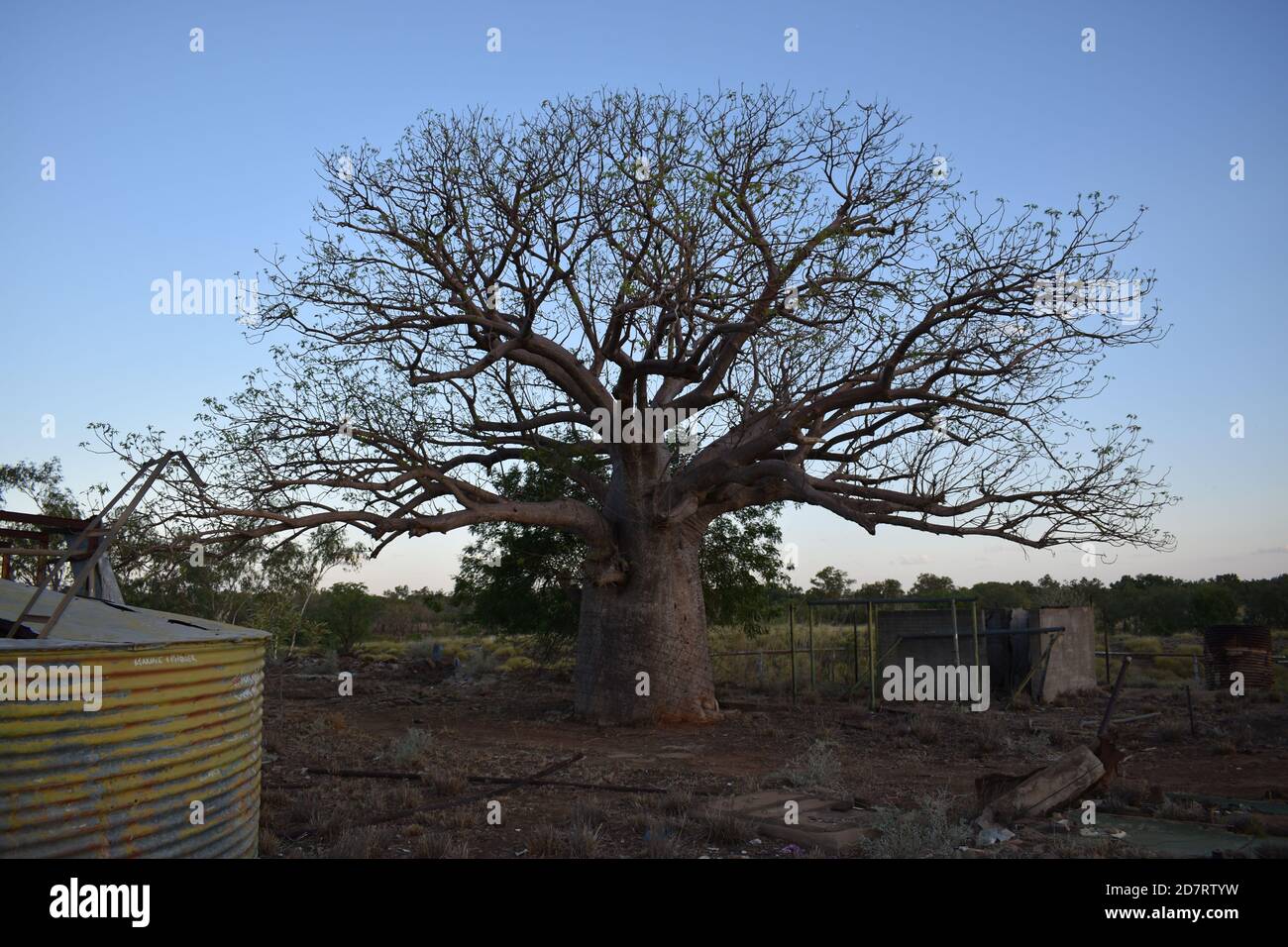 Old Noonkanbah Station Stock Photo - Alamy