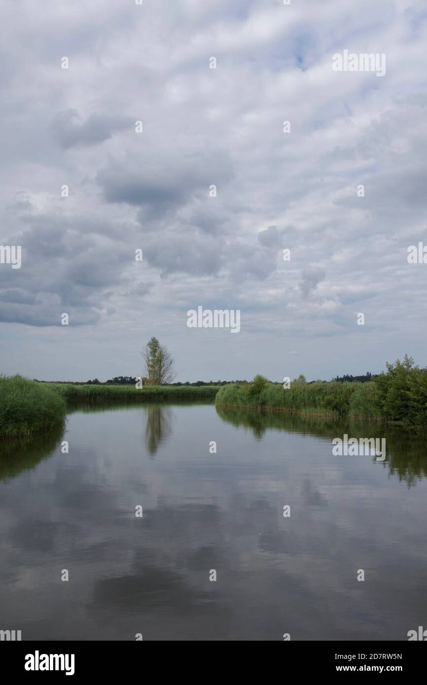 A peaceful, windless day with clouds in the sky. Reflections of a tree ...