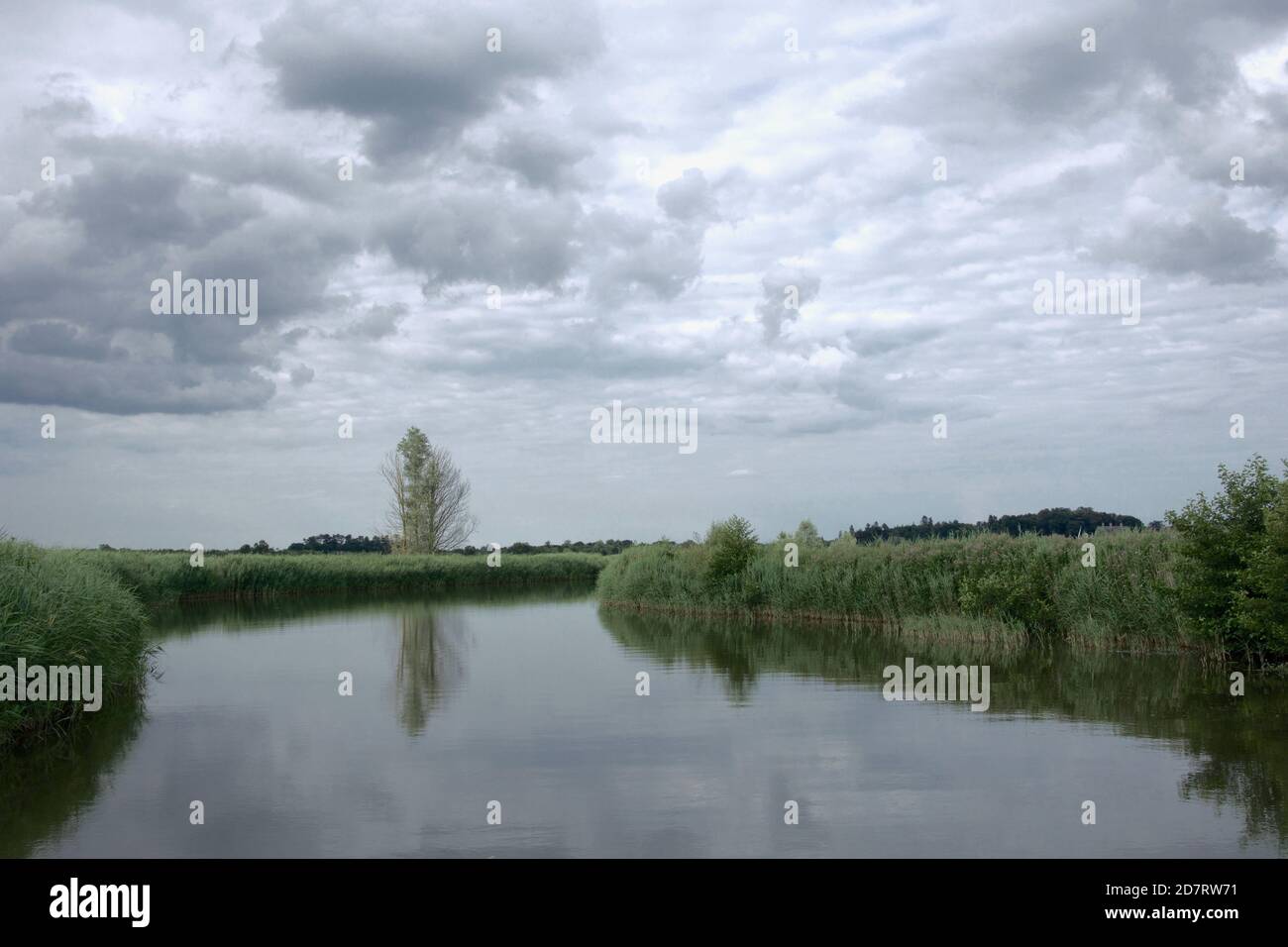A peaceful, windless day with clouds in the sky. Reflections of a tree ...