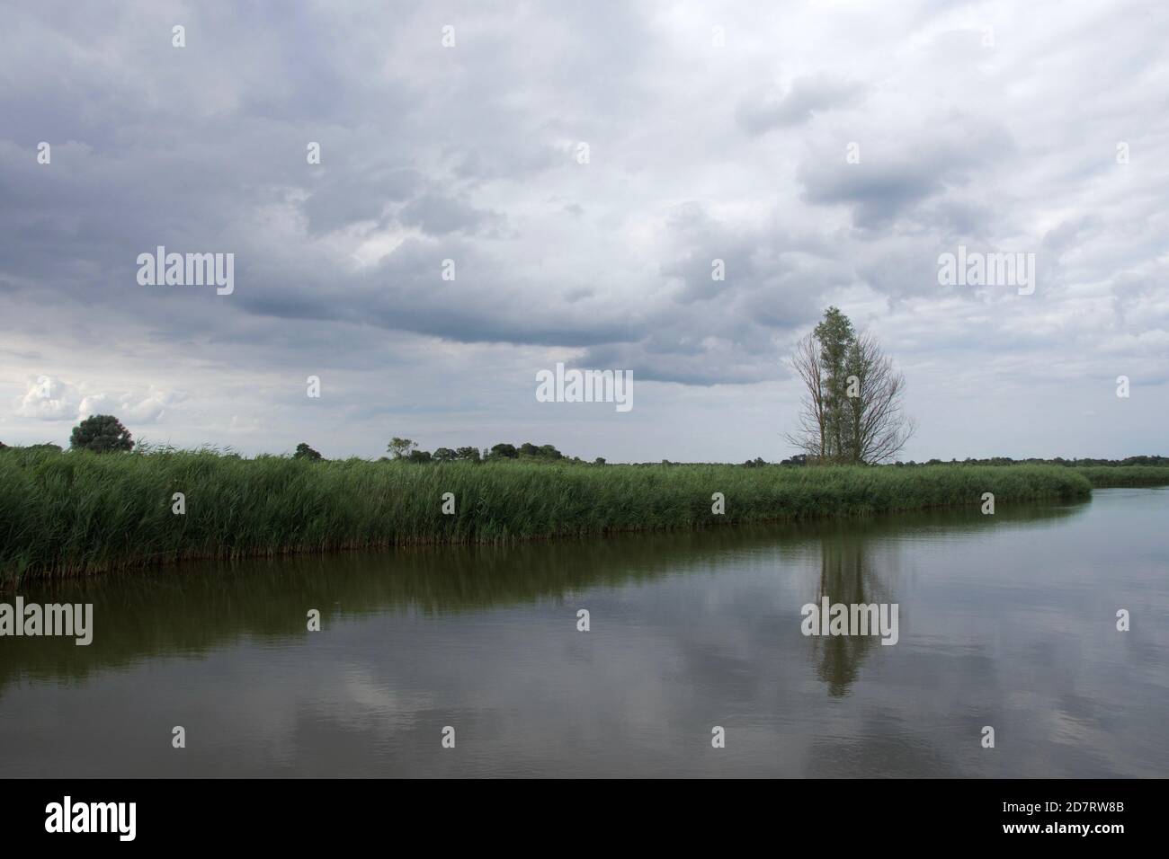 A peaceful, windless day with clouds in the sky. Reflections of a tree ...