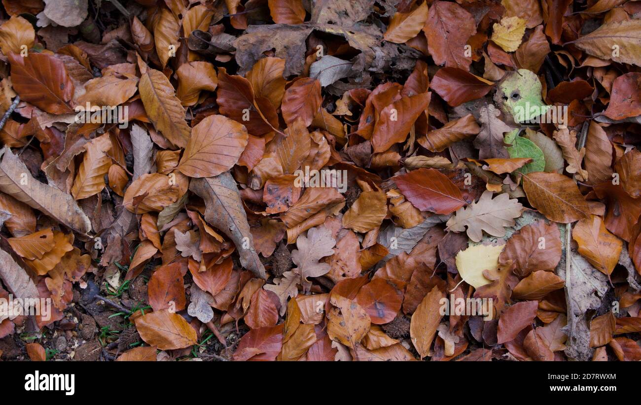 Assorted colours hi-res stock photography and images - Alamy