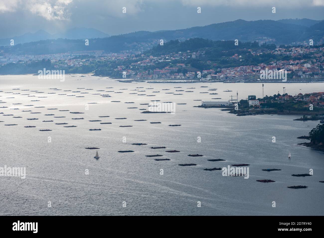 Aerial of mussel aquaculture hi-res stock photography and images - Alamy