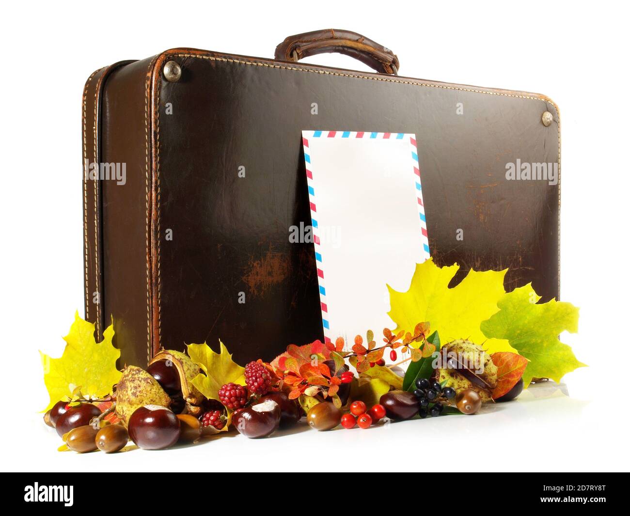 Old Suitcase with Letter and Autumn Leaves isolated on white Background ...