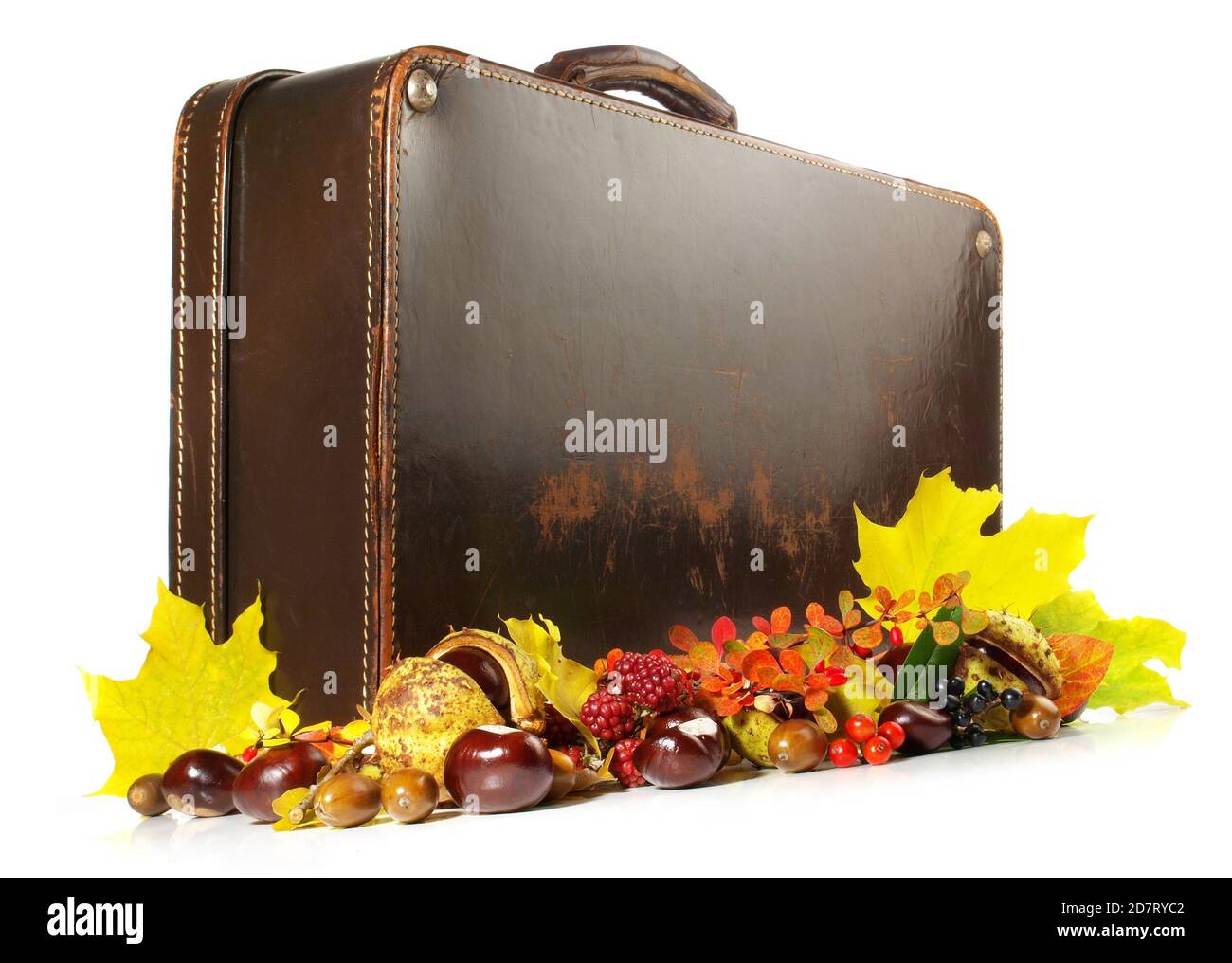 Old Leather Suitcase with Autumn Leaves isolated on white Background ...