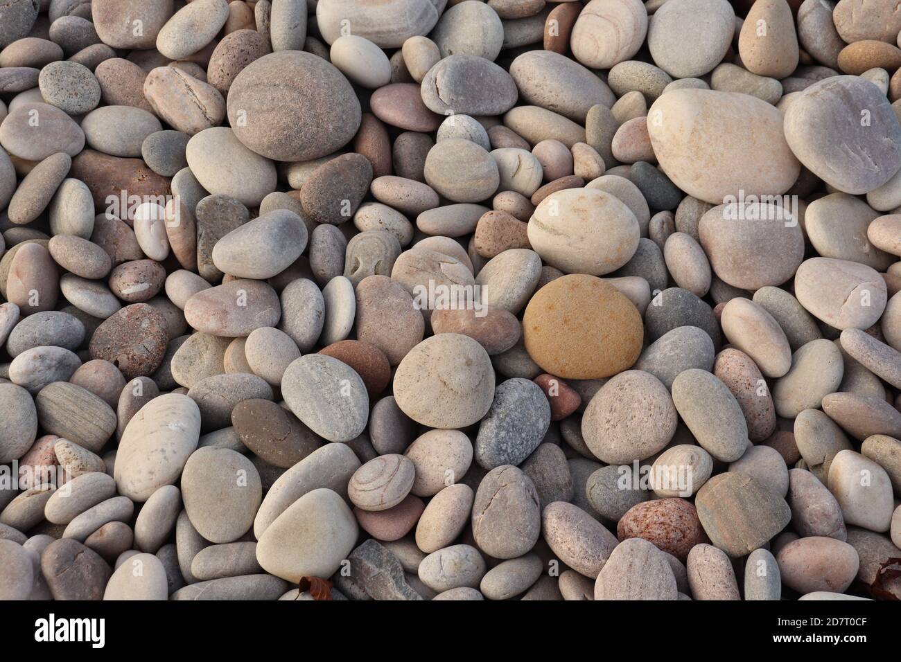 Unique body shapes hi-res stock photography and images - Alamy