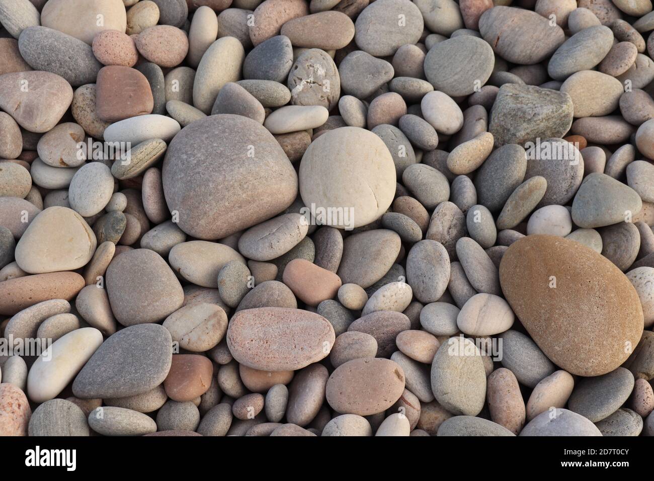 Unique body shapes hi-res stock photography and images - Alamy