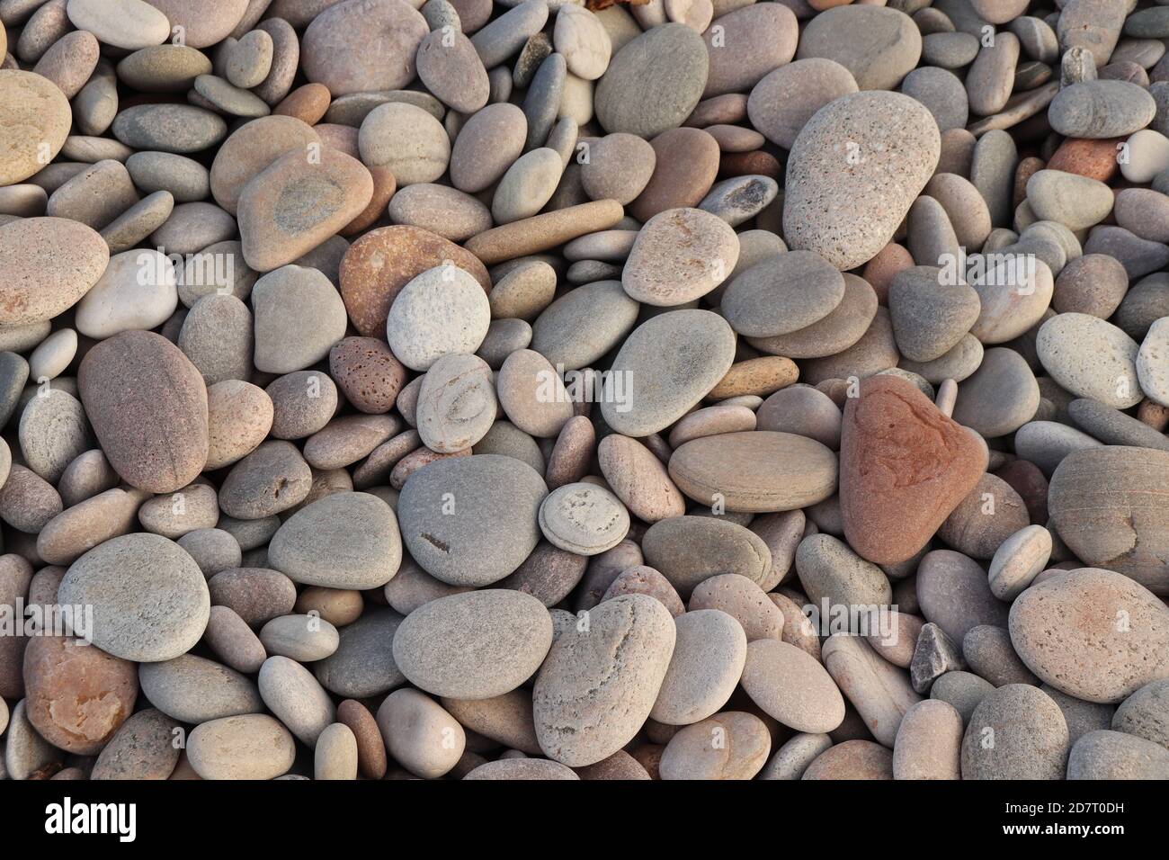 Unique body shapes hi-res stock photography and images - Alamy