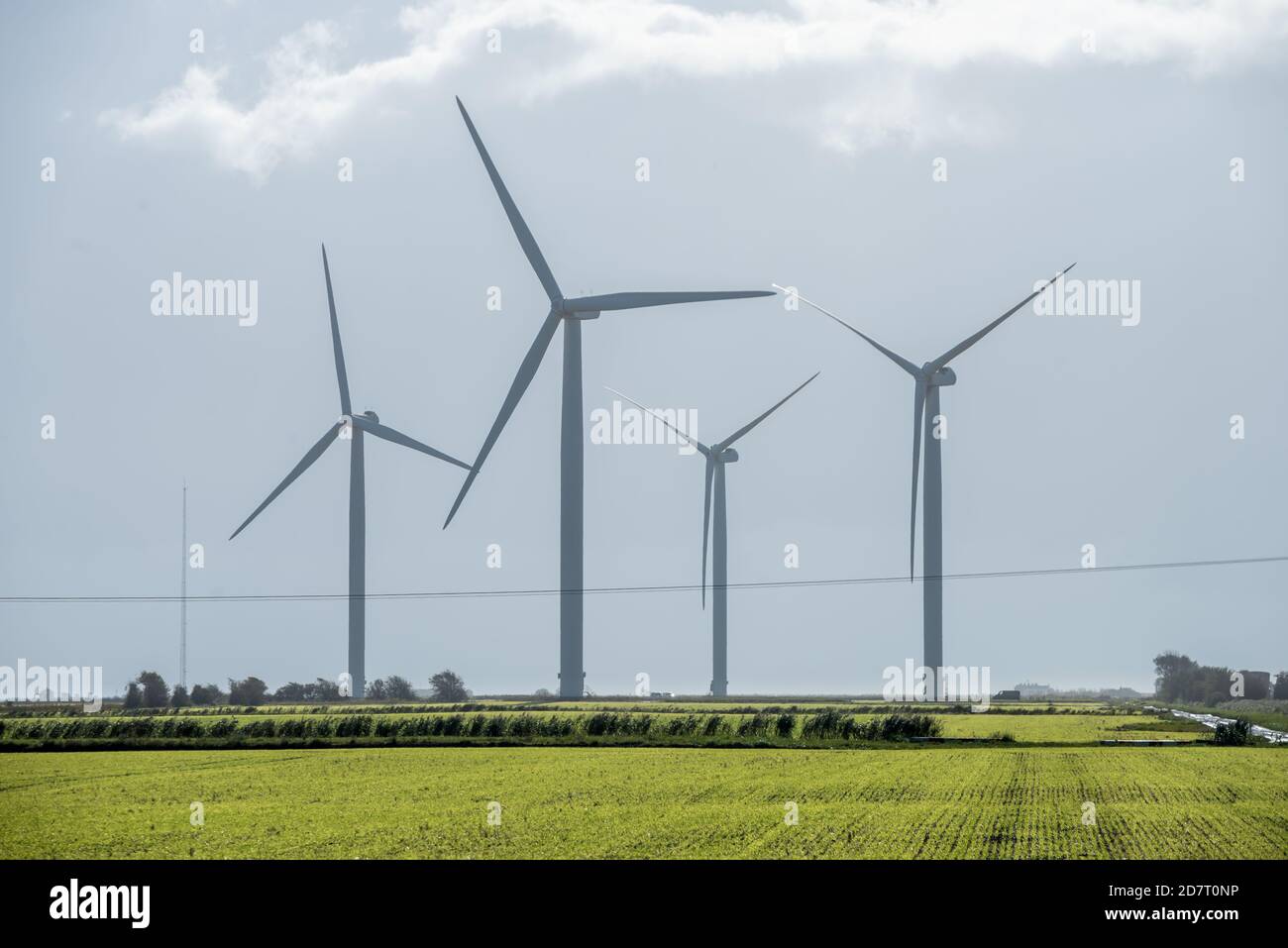 Little Cheyne Court Wind Farm at Romney Marsh on the Kent and Sussex ...