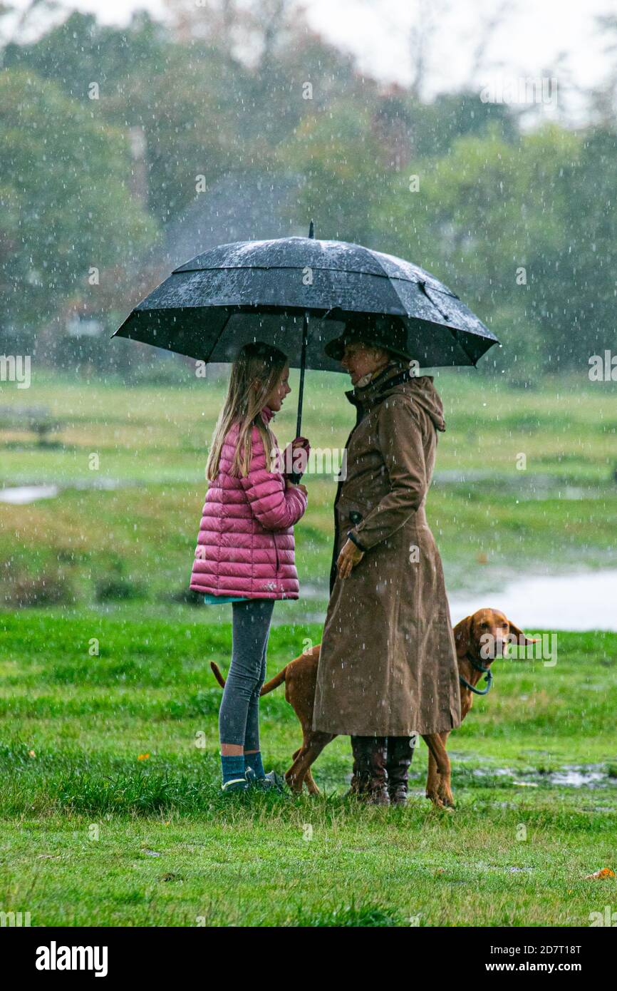 Animal sheltering in heavy rain hi-res stock photography and images - Alamy