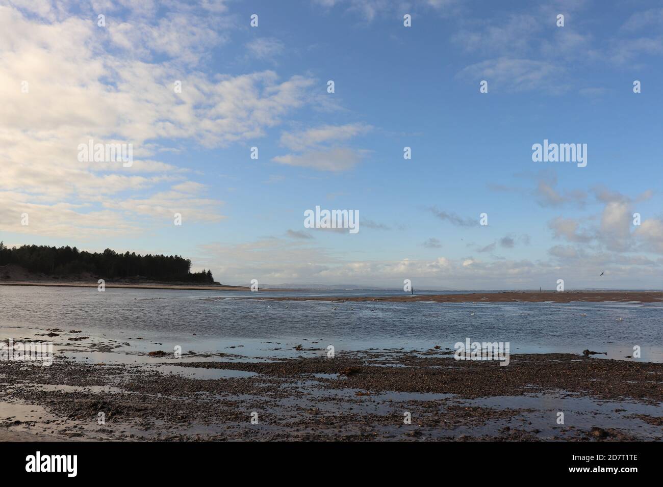The findhorn garden hi-res stock photography and images - Alamy