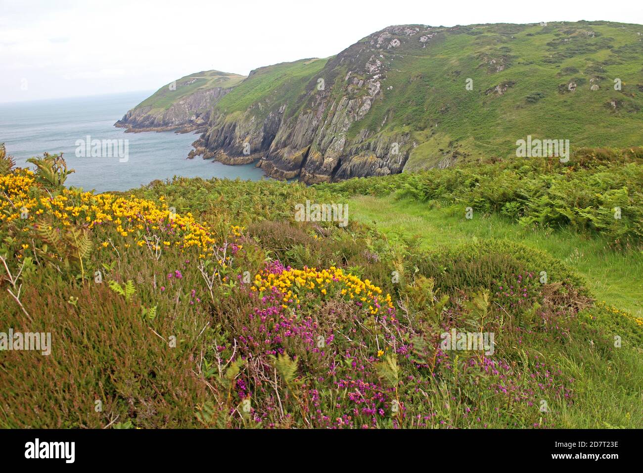 Anglesey coastal path scenery around Porth Wen and Hells mouth Stock ...