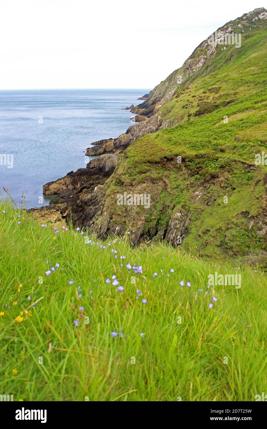 Anglesey coastal path scenery around Porth Wen and Hells mouth Stock ...