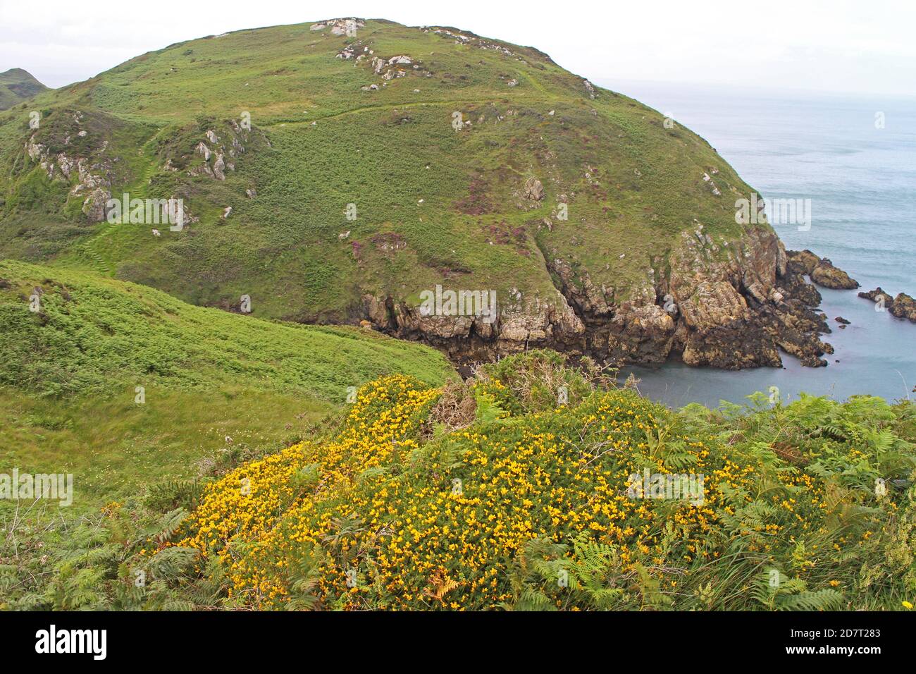 Anglesey coastal path scenery around Porth Wen and Hells mouth Stock ...