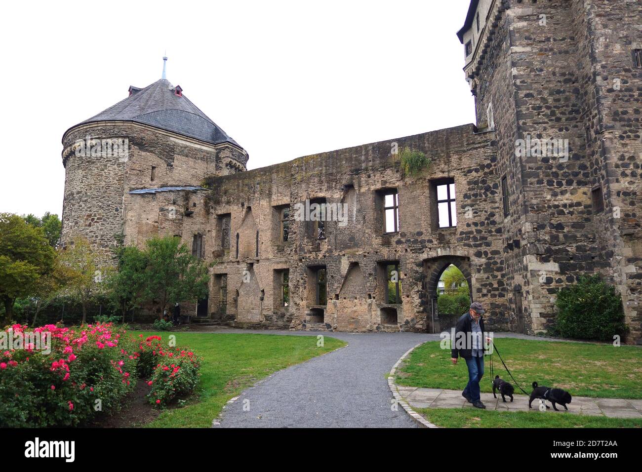 Andernach hi-res stock photography and images - Alamy