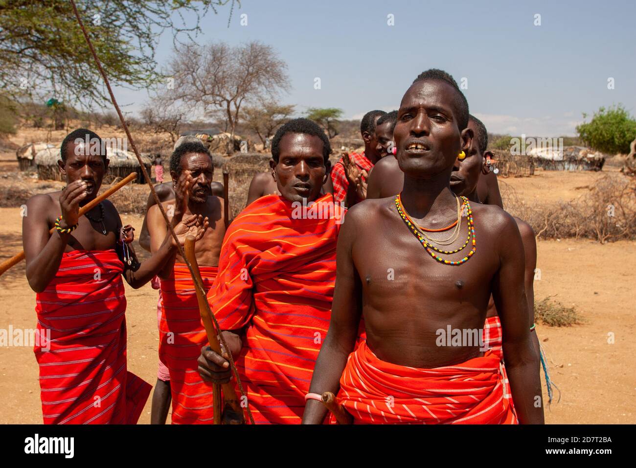 Members of the Samburu tribe in a traditional dance, Kenya. The Samburu ...