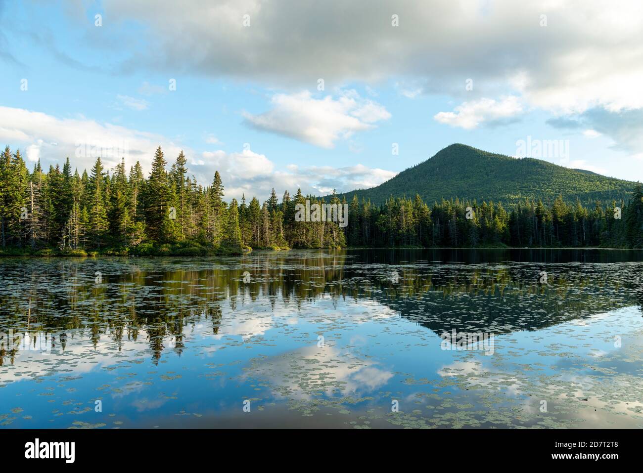 The Horn peak reflected in Unknown Pond in the early evening, summer ...