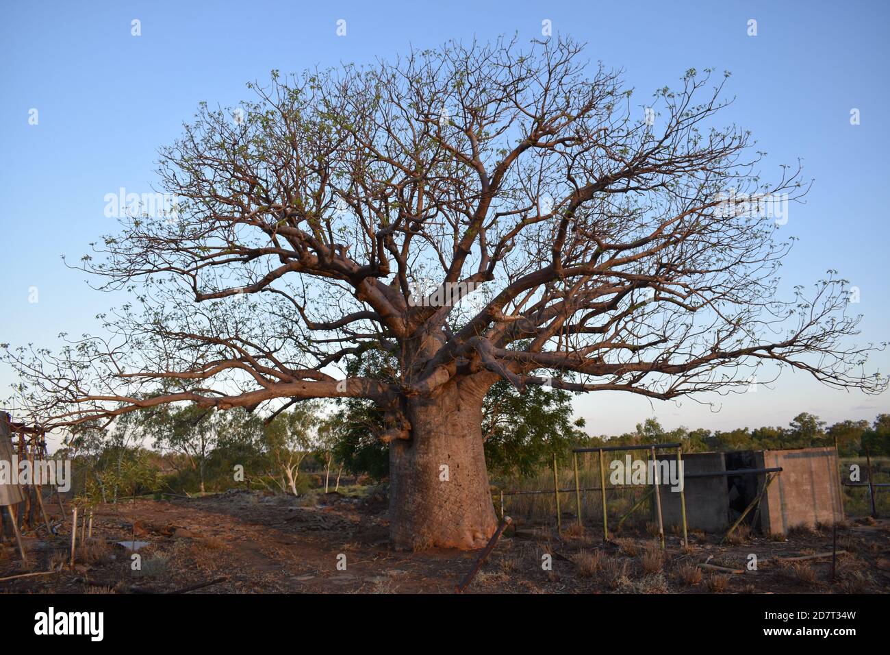 Old Noonkanbah Station Stock Photo - Alamy