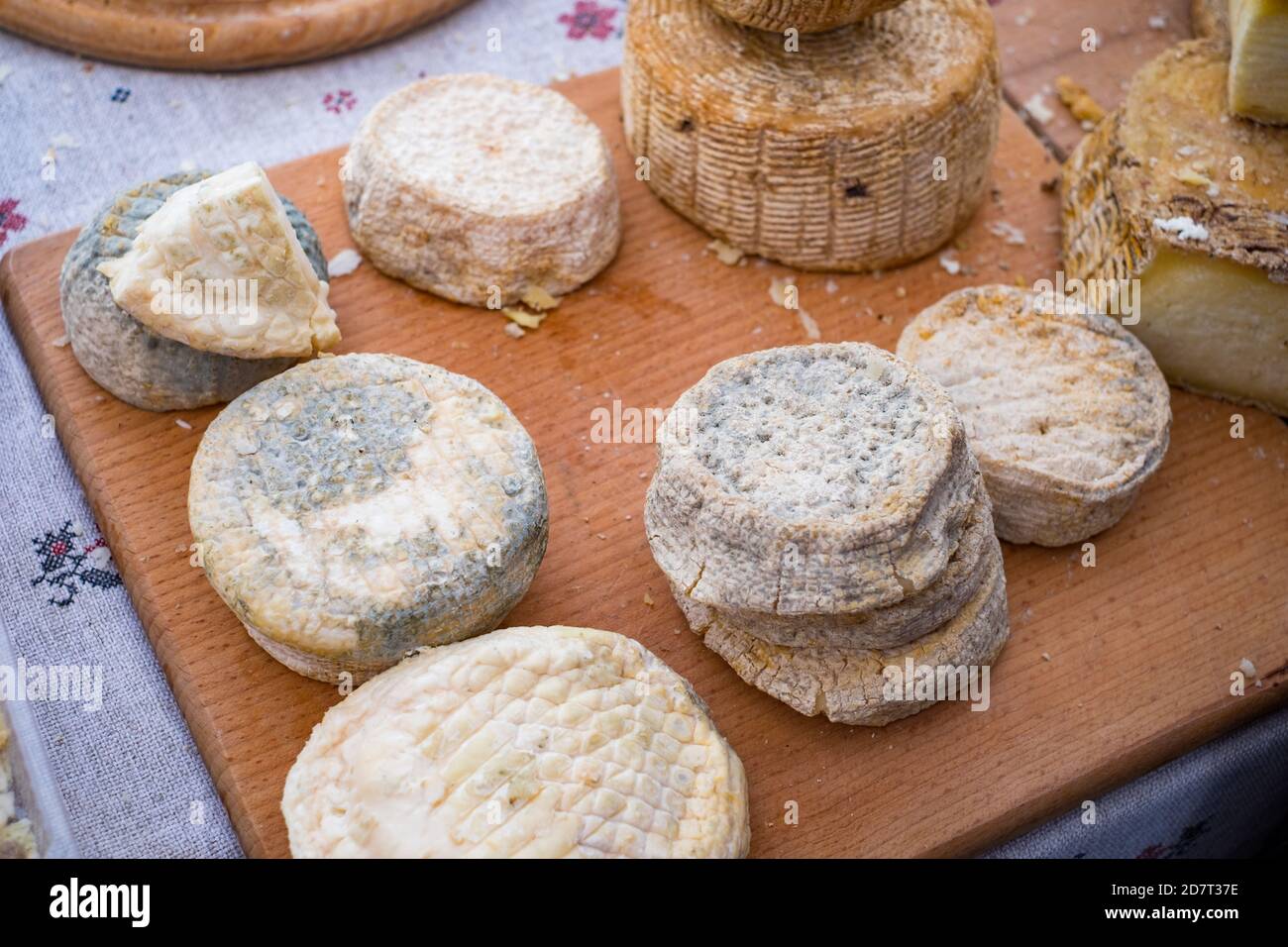 Homemade organic farm cheese at the street food fair Stock Photo - Alamy