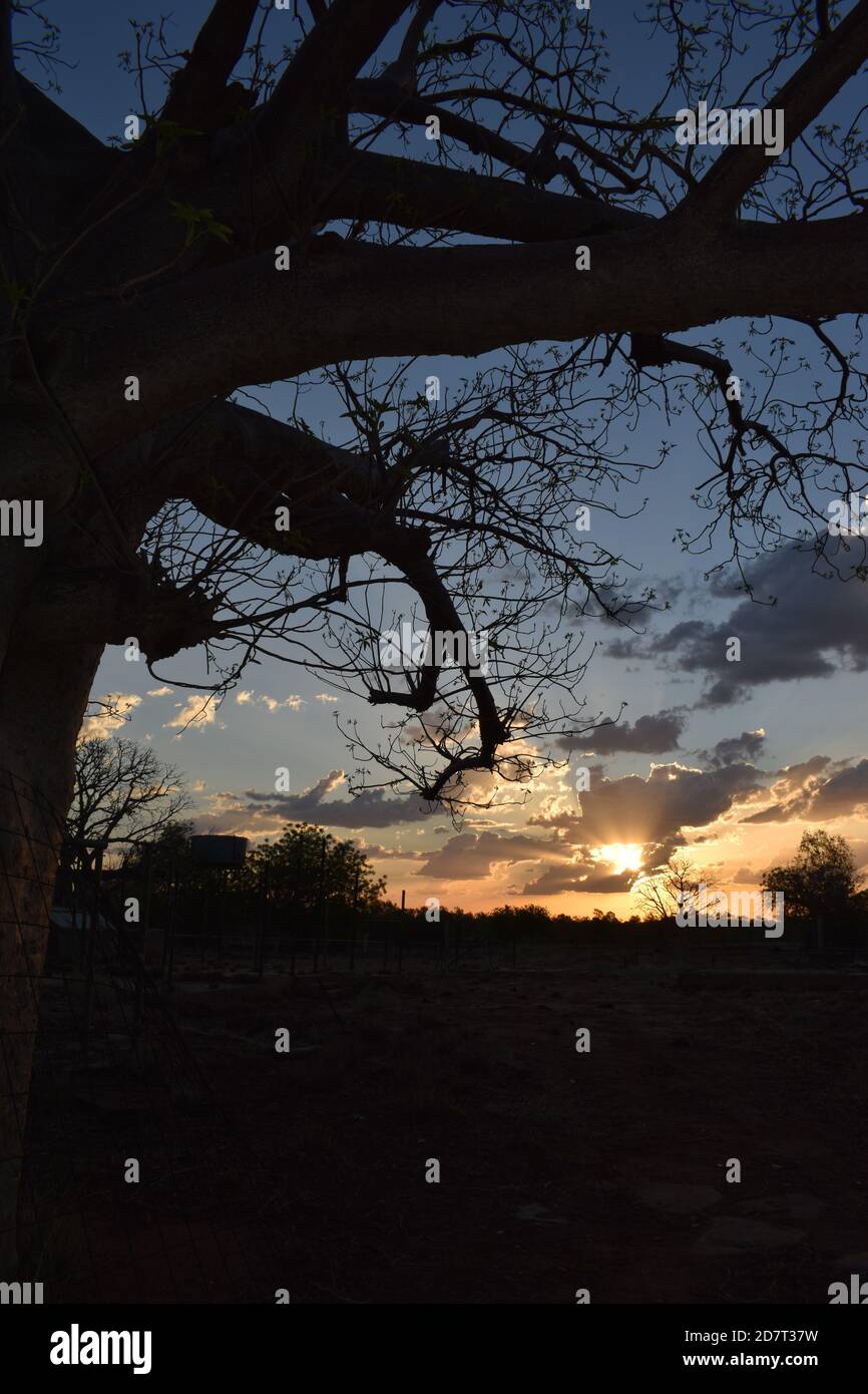Old Noonkanbah Station Stock Photo - Alamy