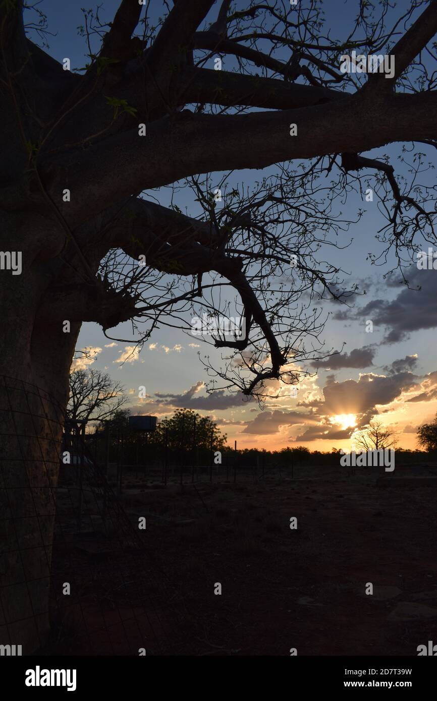 Old Noonkanbah Station Stock Photo - Alamy
