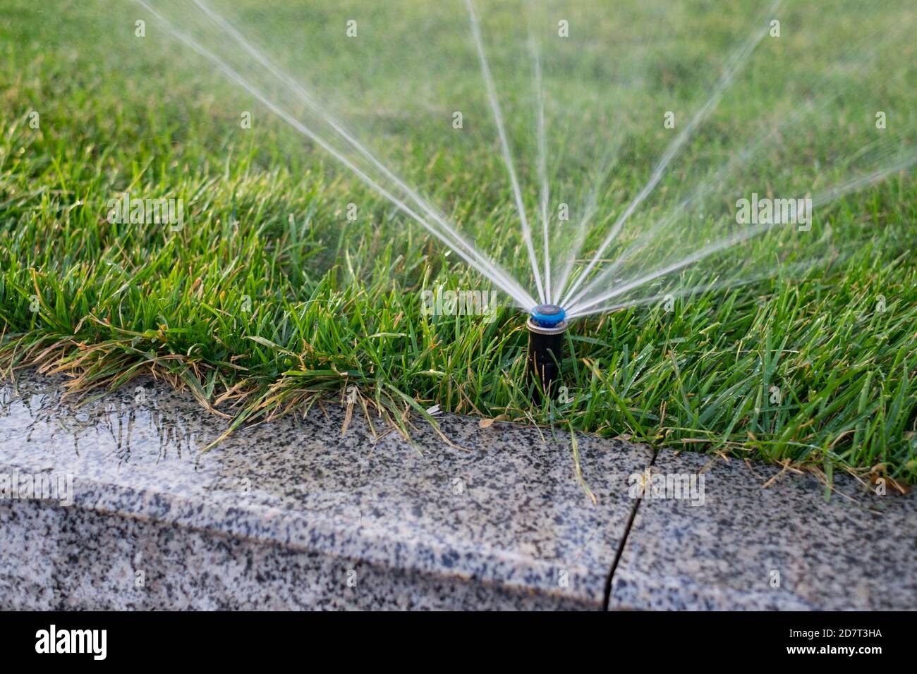 Modern garden irrigation system watering lawn Stock Photo - Alamy