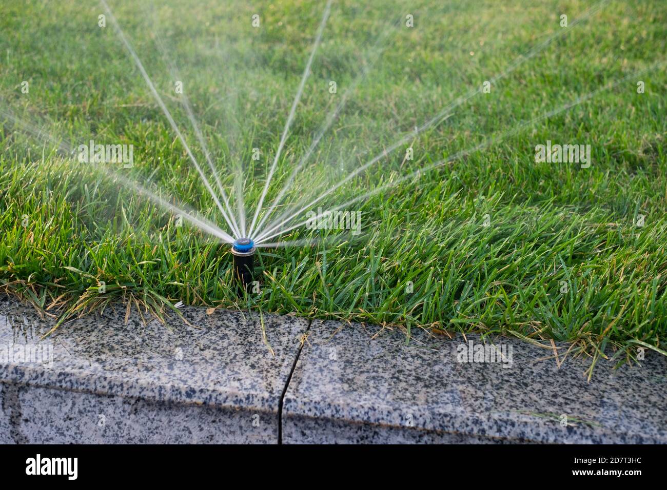 Installation modern garden irrigation system watering lawn Stock Photo ...