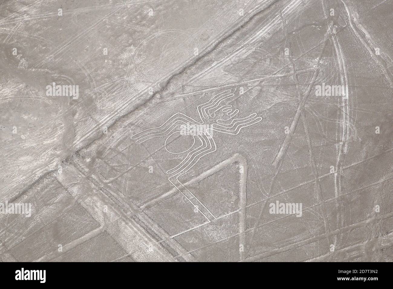 Aerial View of Nazca Geoglyph The Spider. Nazca, Peru Stock Photo - Alamy