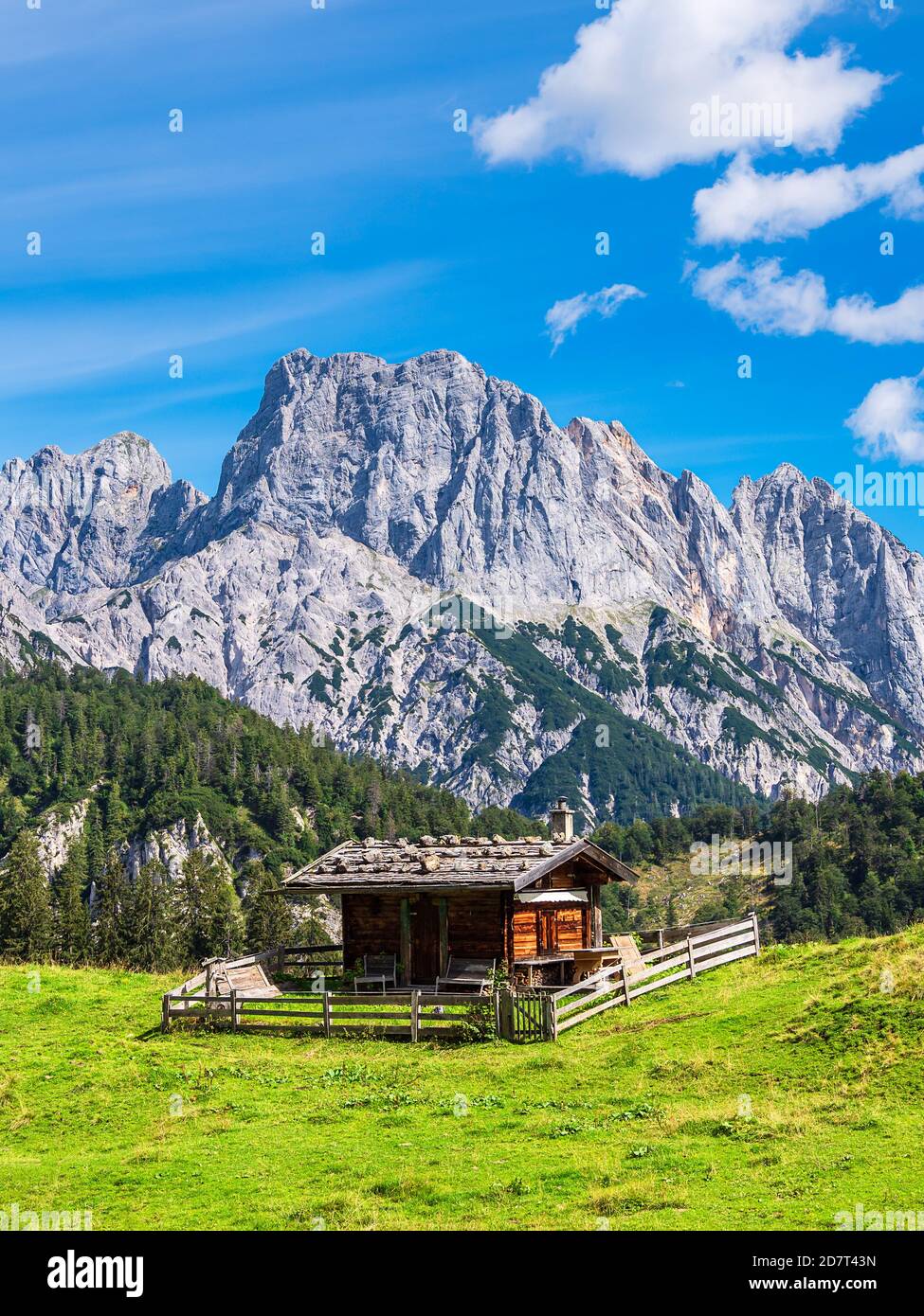 View to the mountain pasture Litzlalm in the Alps, Austria Stock Photo ...