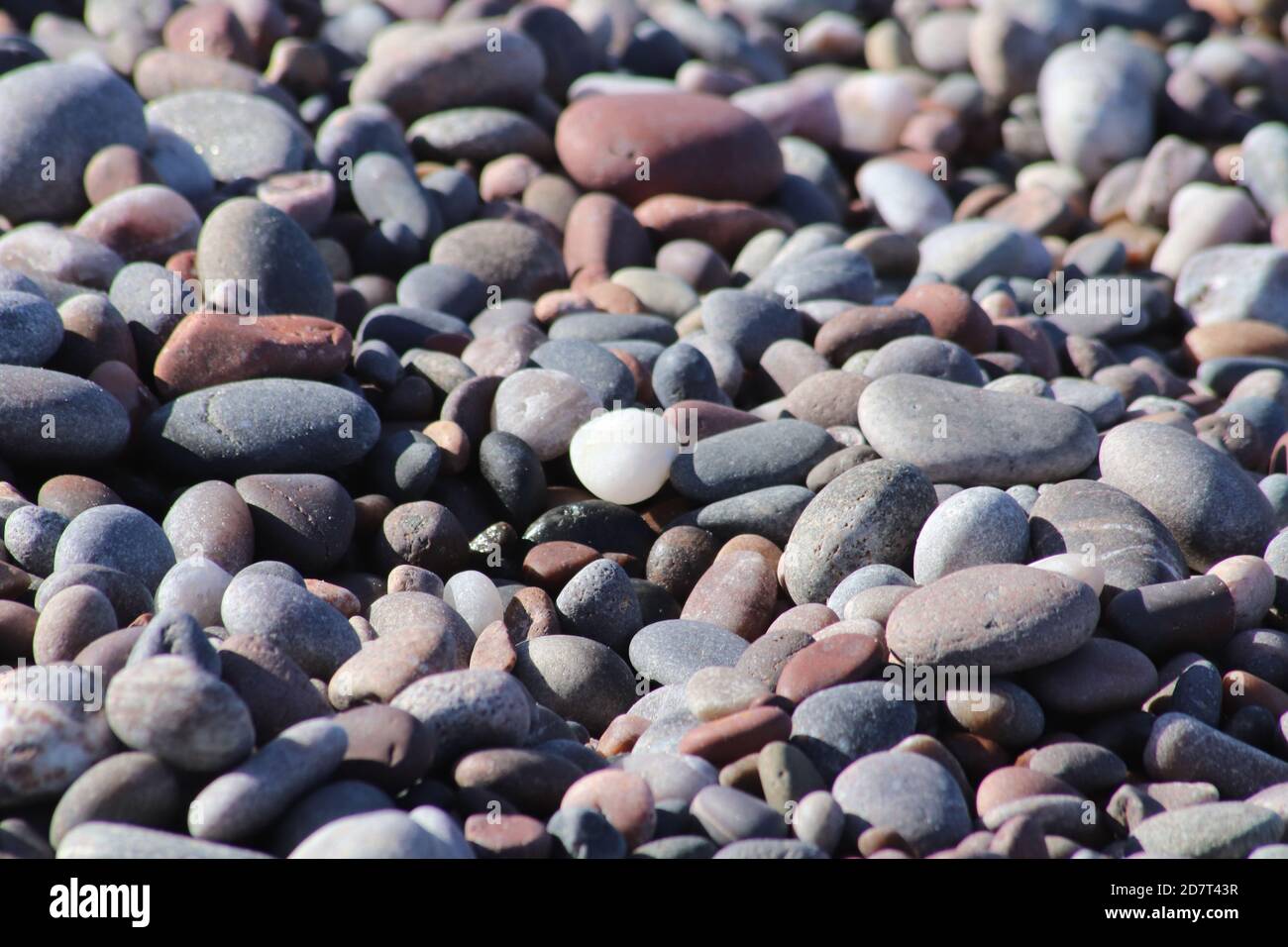 Pebbles on seashore Stock Photo - Alamy