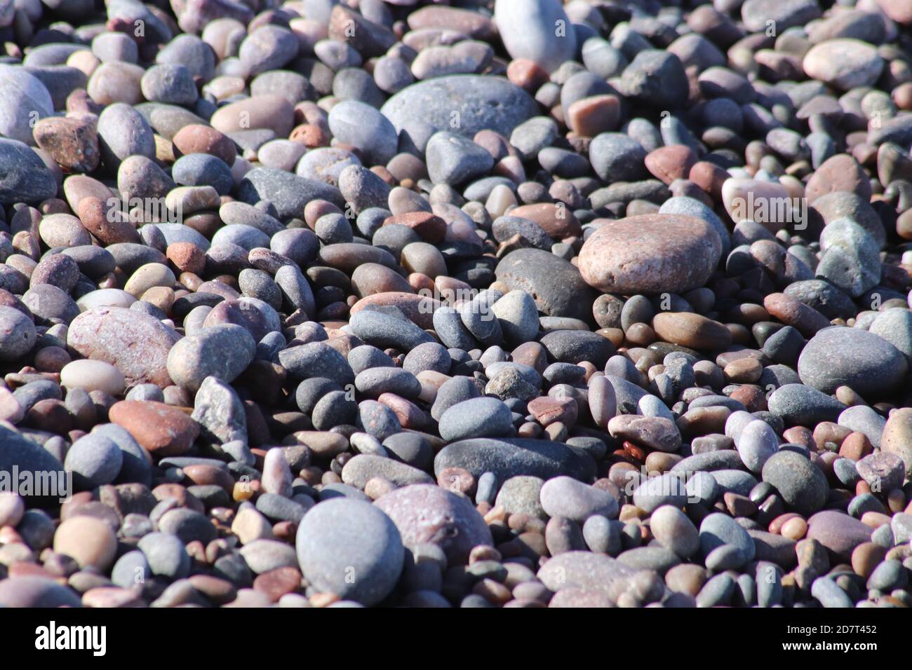 Pebbles on seashore Stock Photo - Alamy