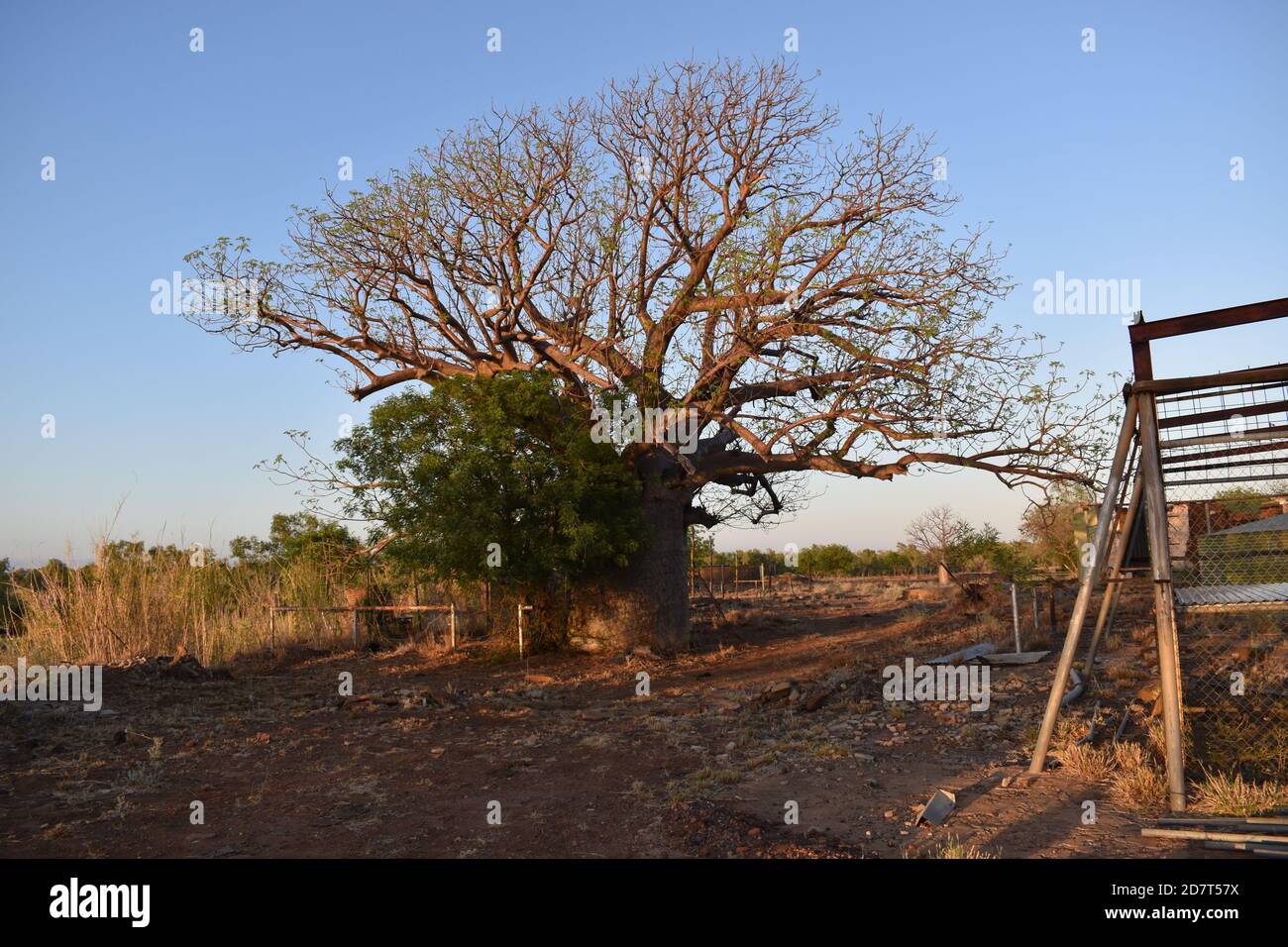 Old Noonkanbah Station Stock Photo - Alamy